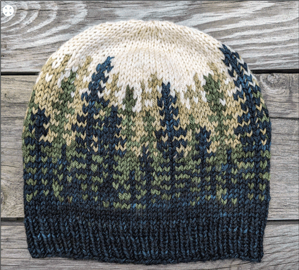 Washington Beanie Yarn Knitting Kit by Nancy Bates | Online Yarn Store ...